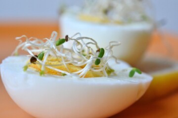 10 Best Bean Sprout Substitutes For Every Recipe | Myriad Recipes