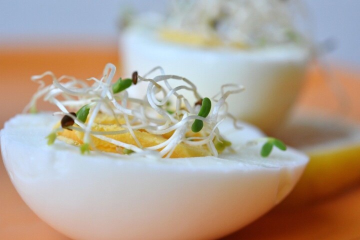 10 Best Bean Sprout Substitutes For Every Recipe | Myriad Recipes