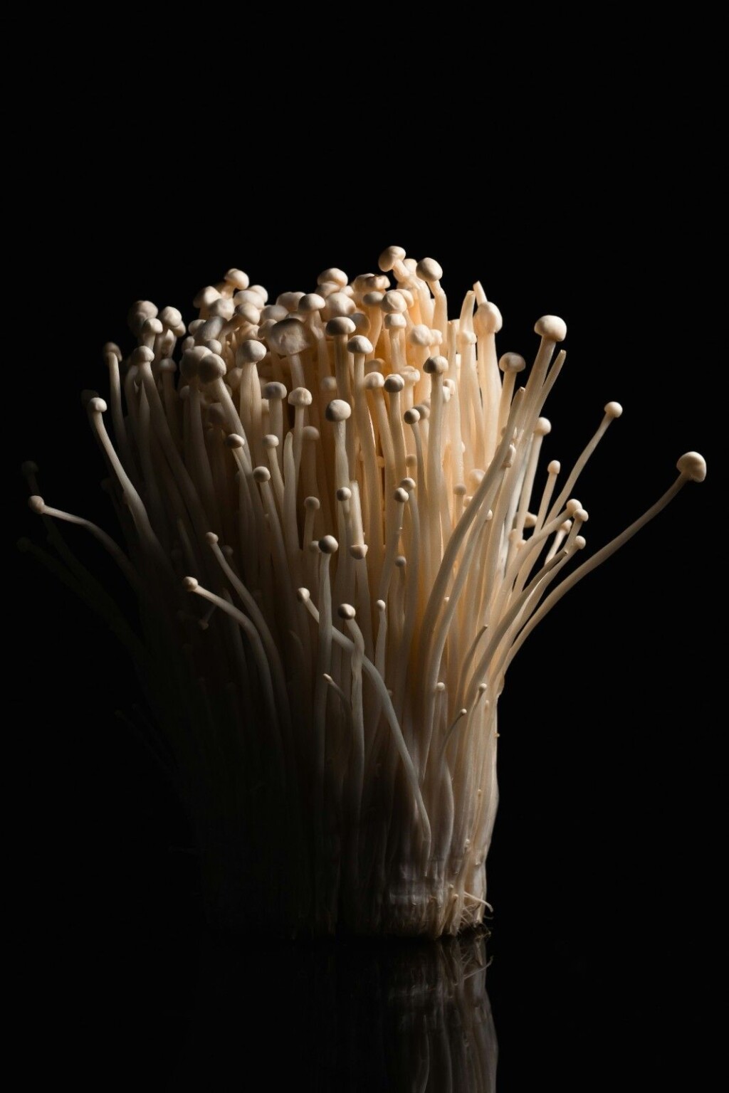 10 Best Bean Sprout Substitutes For Every Recipe | Myriad Recipes