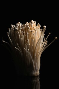10 Best Bean Sprout Substitutes For Every Recipe | Myriad Recipes